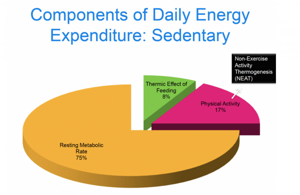 Personal Trainer Collective: Evidence-Based Exercise Part II – JC Fitness