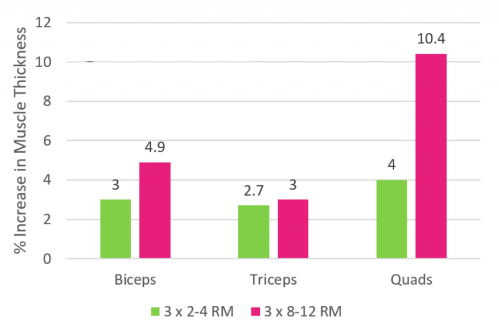 Learn More To Improve Your Muscle Tone – JC Fitness